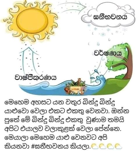 අපේ පාඨශාලාව අපේ පාඨශාලාව Added A New Photo