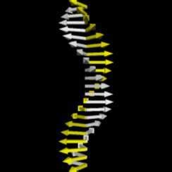Circle Polarizations Animation Download Scientific Diagram