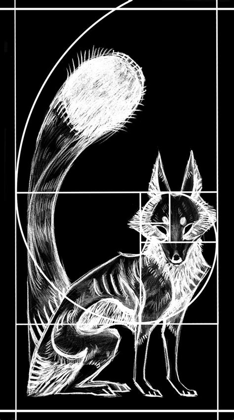 Fibonacci By Lycanium On DeviantArt