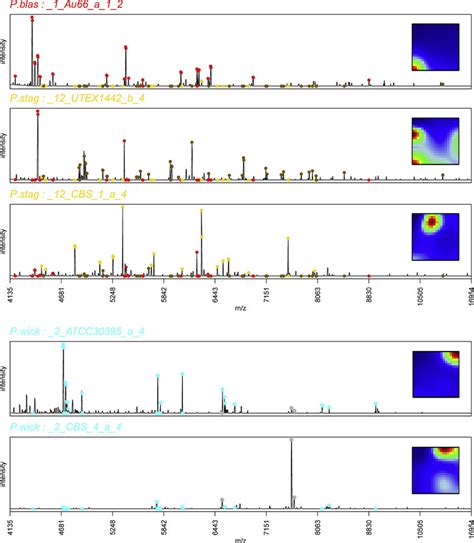 Selected Maldi Tof Spectra Of Different Isolates Indicated In Fig 3