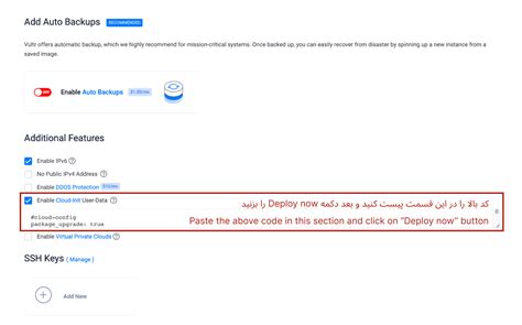 Quick Installation On Vultr Servers · Hiddify Hiddify Manager Wiki · Github