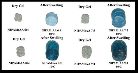 nipam co aa gel visual analysis at t swelling of 10 o c download