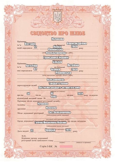 Создать комикс мем свидетельство о браке бланк пустой свідоцтво про шлюб пустое свидетельство