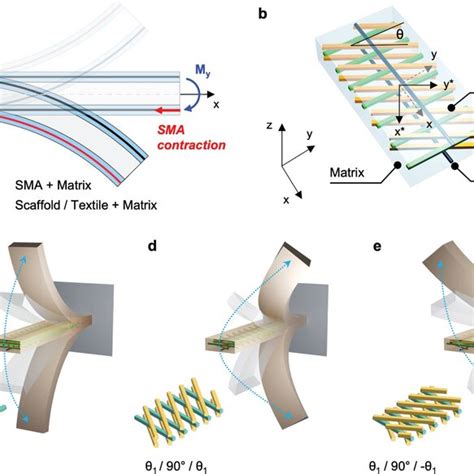 Schematic Diagram Of Shape‐morphing Generation Of Ssc Actuators A The