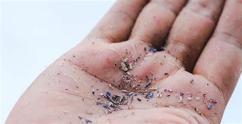 科学家首次在人类血液中发现微塑料，警告：或渗透到所有器官 腾讯新闻