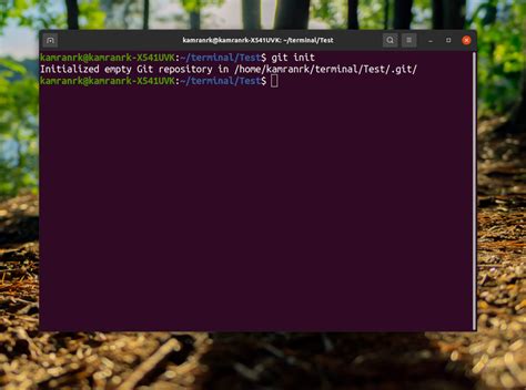 How To Initialize Your Folderprojectdirectory As A Local Git