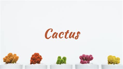 √ Free Cactus Powerpoint Templates Colorful And Simple