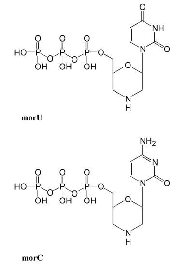 Molecules Special Issue Nucleoside Analogues