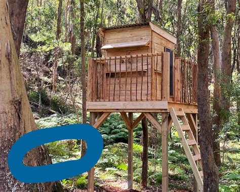 WIN A Treehouse Cubby House To Celebrate Andy Griffiths St