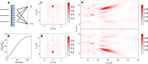 Optimization Results For Polarization Multiplexed Metalenses A Download Scientific Diagram