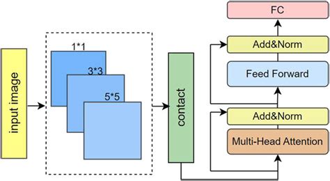 Structure Of Multi Scale Convolutional Neural Network Combined With