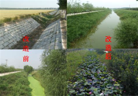 走进国家级生态农场,铺就乡村生态振兴之路 (第14期) 中国农业生态环境保护协会 走进国家级生态农场,铺就乡村生态振兴之路 (第14期) 中国农业生态环境保护协会