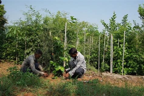 Winners Of Sustainability Awards 2024 By JWA Revealed