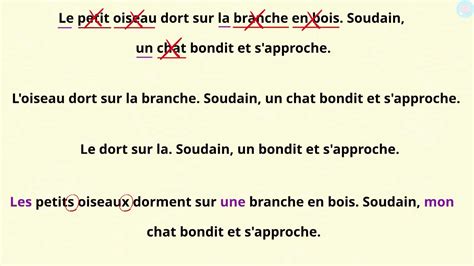 Le Groupe Nominal Cest Quoi Pour Cm1 Cm2 Maître Lucas Le Groupe Nominal Cest Quoi Pour Cm1 Cm2 Maître Lucas