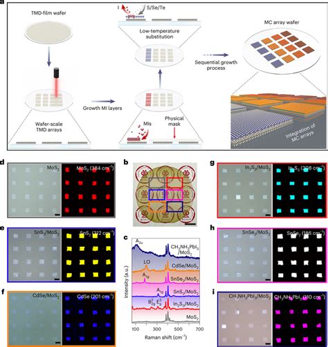 low temperature growth process enabling the integration of different 2d