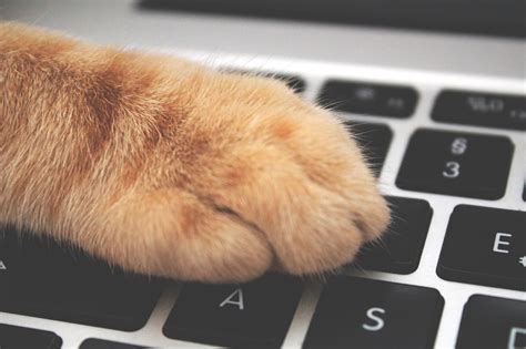 9 Tips About Using Cats In Scala You Might Want To Know By Mikołaj Koziarkiewicz
