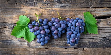 투명에 3d 잎 배경 일러스트 투명에 3d 잎 사진 및 배경 화면 무료 다운로드 Pngtree