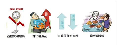 警惕高血压的隐匿元凶肾上腺肿瘤 教育频道 东方网
