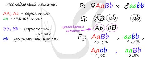 От скрещивания самок с самцами мух дрозофил в потомстве были получены особи с серым телом