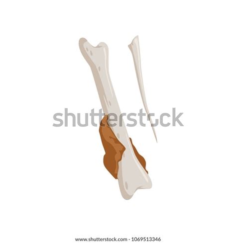 Bone Chuck Roast Over 32 Royalty Free Licensable Stock Vectors