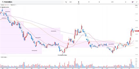 Posco홀딩스 주가 전망 배당금 정보