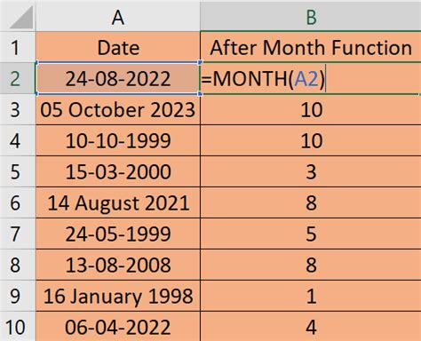 How To Use The Month Function In Excel In Hindi Learn More India