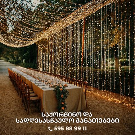 Gardex • გარდექსი