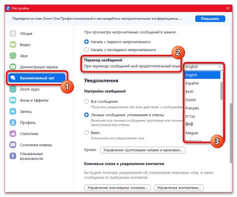 Как поменять язык в Зуме