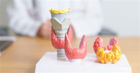 Chemical Sensitivity 101 Taking Control In A Trigger Filled World Dr Becky Campbell