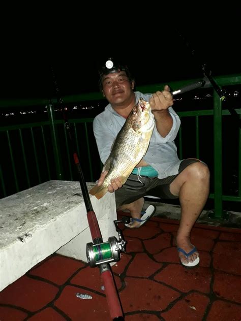 Fingermark Snapper Shoreangler