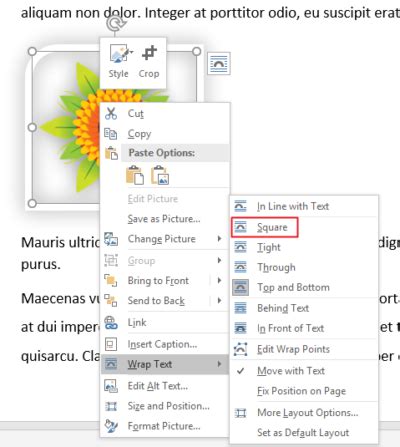 Text Wrapping In Word Explained Software Accountant