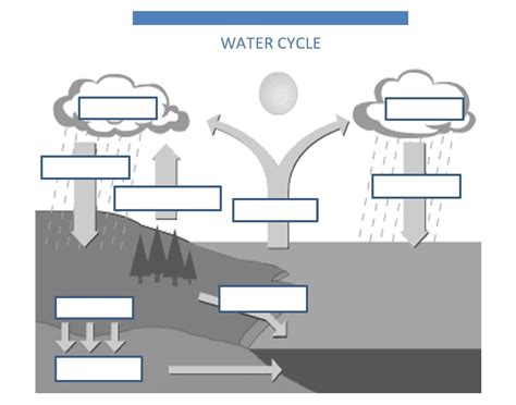 Match Yo Water Cycle Game
