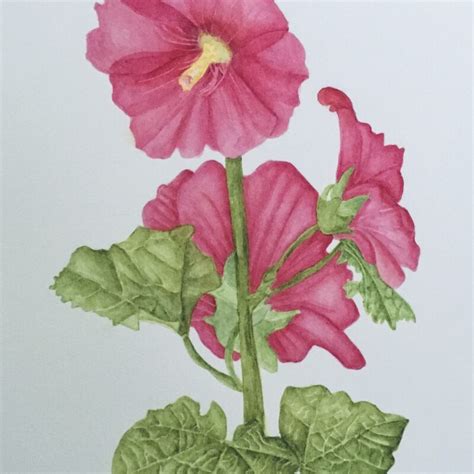 Studio Art Classes Cape Cod Art Center Art Workshops Exhibits