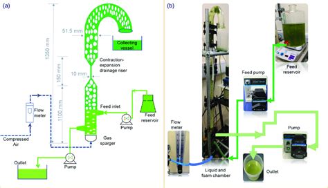 A Schematic Of Experimental Setup Of The Continuous Foam Flotation Download Scientific