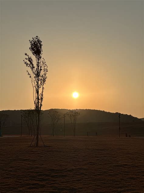 순종 황제의 생애 대한제국의 마지막 이야기