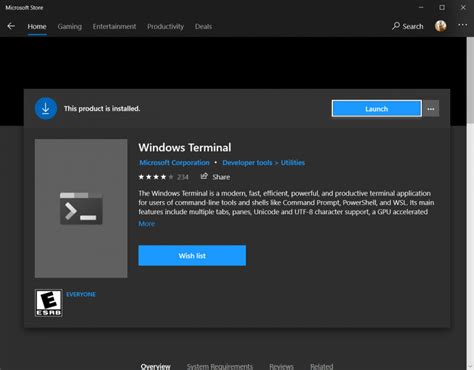 Cara Membuat Background Windows Terminal Menjadi Transparan 1 Winpoin