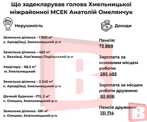 Декларації голів комісій хмельницького МСЕК Vsim Ua