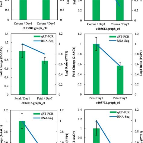 Real Time Quantitative Pcr Qrt Pcr Verification Validation Of Gene