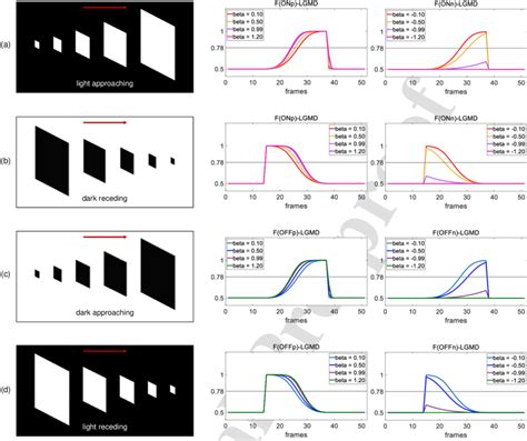 Effect Of Varied Feedback Coefficients On Membrane Potential Against