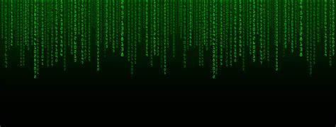 매트릭스 배경 바이너리 코드를 사용한 사이버 보안 무작위로 떨어지는 흰색 숫자 디코딩 알고리즘이 소프트웨어를 해킹했습니다 빅