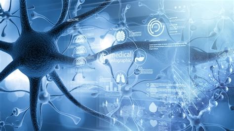 Conexiones Neuronales Del Cerebro Con Ilustración Médica Foto Premium