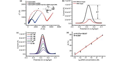 Feasibility And Sensitivity Analysis Of The E Crispr Biosensor By
