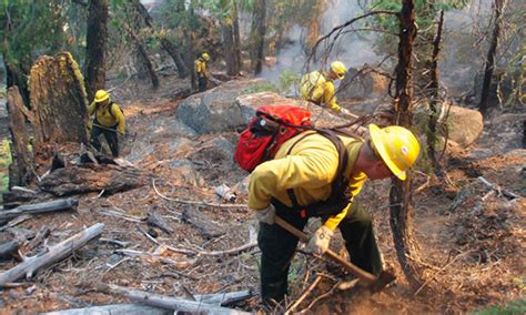 Wildland Fire Fireline Construction Us National Park Service