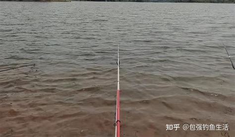 有鱼咬钩后应该什么时候提竿 知乎