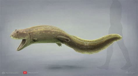 Explore The Best Crassigyrinus Art Deviantart