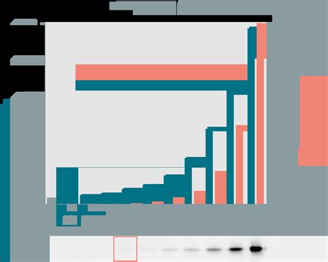 Htrf Human Phospho Bad Ser112 Detection Kit 96 Assay Points Revvity