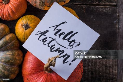 안녕하세요 가을 다양한 모양과 색상의 많은 여러 가지 색깔의 호박과 Gourds의 더미 다른 종류 다채로운 호박 장식 0명에 대한 스톡 사진 및 기타 이미지 Istock