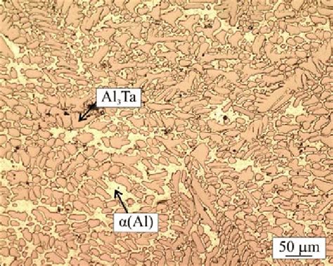 Om Micrograph Showing Dendritic Microstructure Of Master Al Ta Alloy Download Scientific Diagram