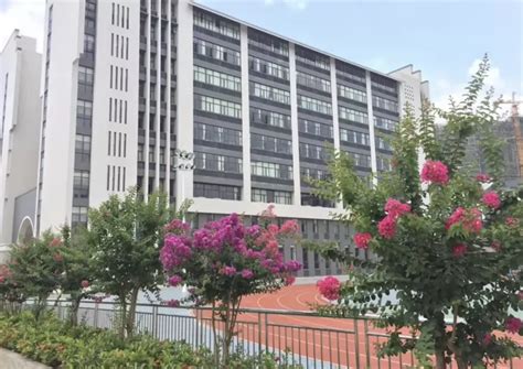 2024年湛江市寸金培才学校招生简章及收费标准小学、初中