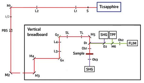 Scheme Of The Experimental Setup Of The Laser Scanner Nonlinear
